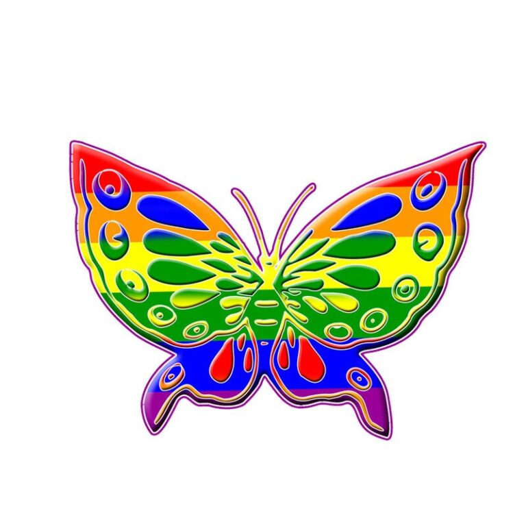 Pegatina mariposa LGBT 16 x 11 cm | Tienda Online de artículos LGBT